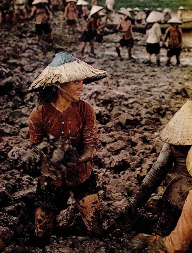 History & traditional costumes in Vietnamese clothing culture